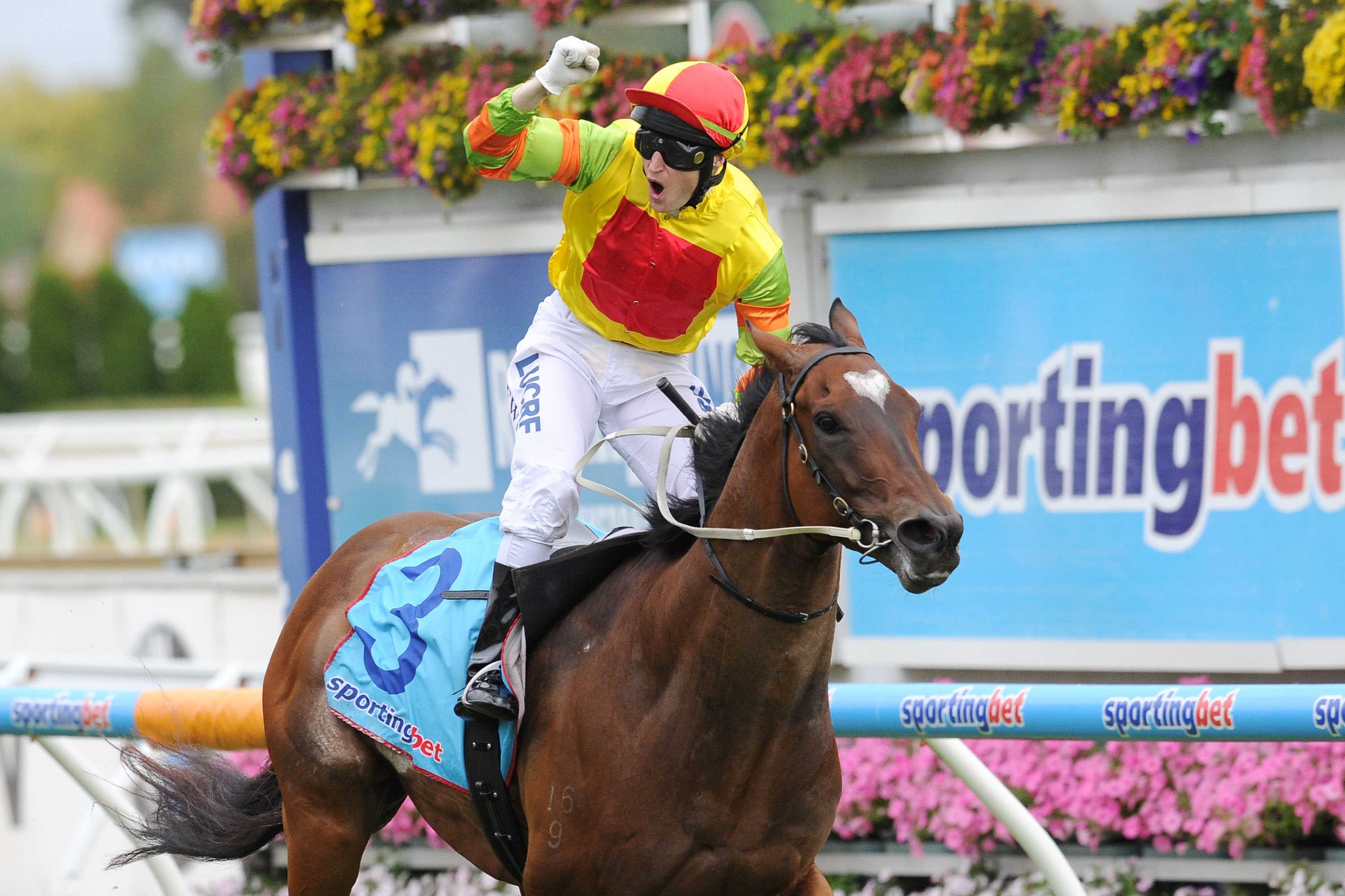 Lankan Rupee named Horse of the Year ahead of Melbourne Cup winner ...