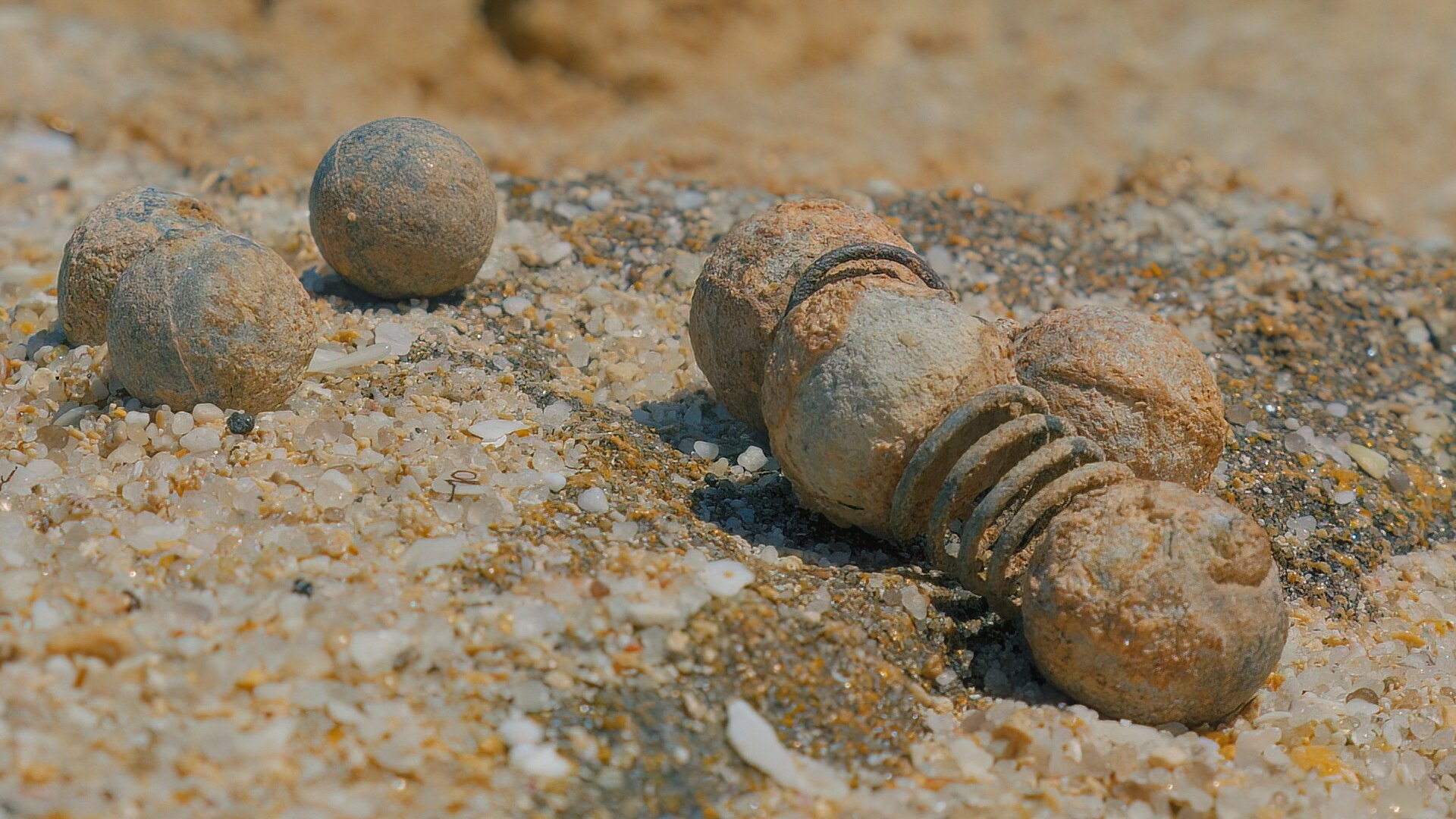 Musket 'bolo' balls buried in sand for 366 years discovered on WA beach ...