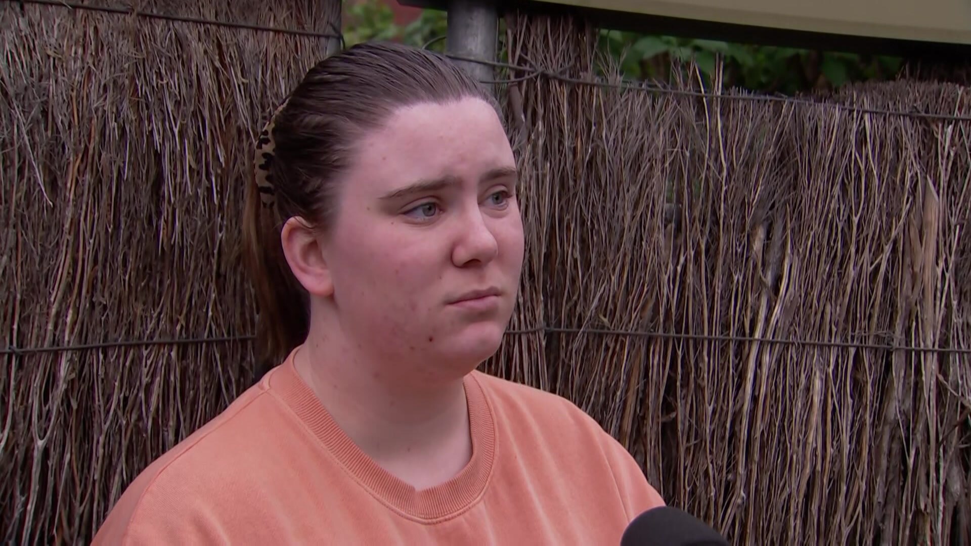 Ronan was allegedly murdered — here's what we know so far about the 17 ...