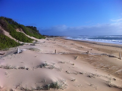 Sand traps work to protect the coastal erosion 'hotspot' of Wooli - ABC ...