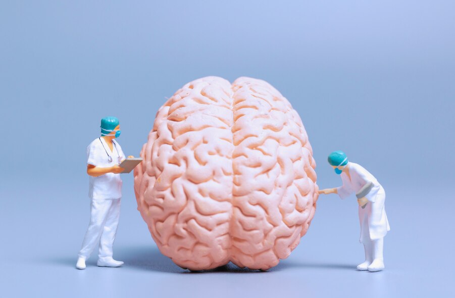 Microplastics in the human brain - ABC listen