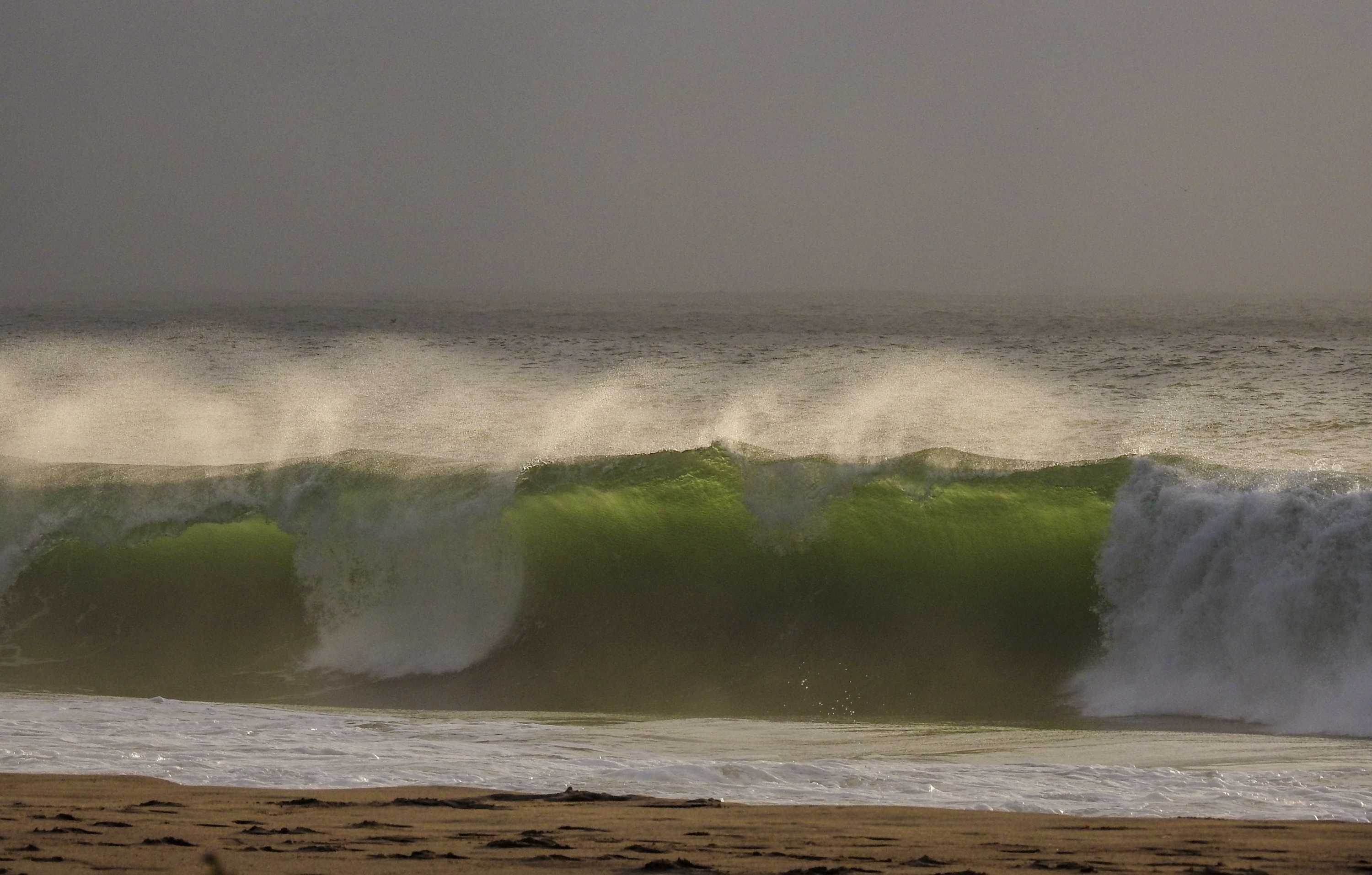 A Weekend in Nature with ABC Classic - ABC listen