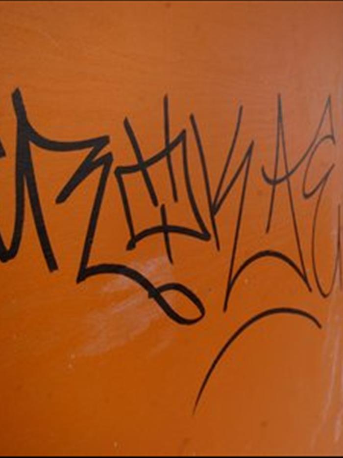 Thousands of photos linked to Brisbane Water graffiti crime - ABC News