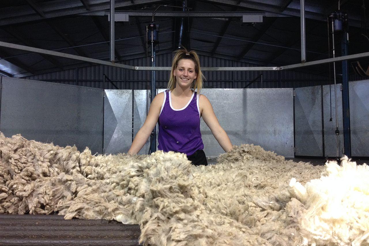 The Reinke family tradition: working in the shearing sheds with my dad ...