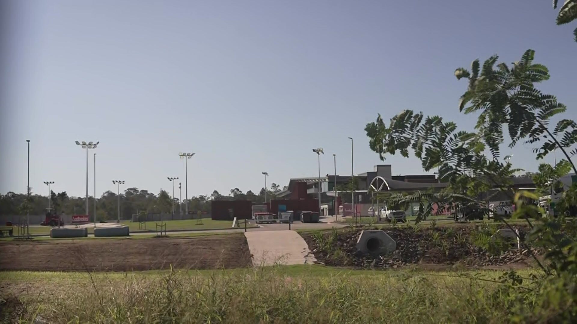 Greyhounds die from injuries at The Q greyhound racing track before ...