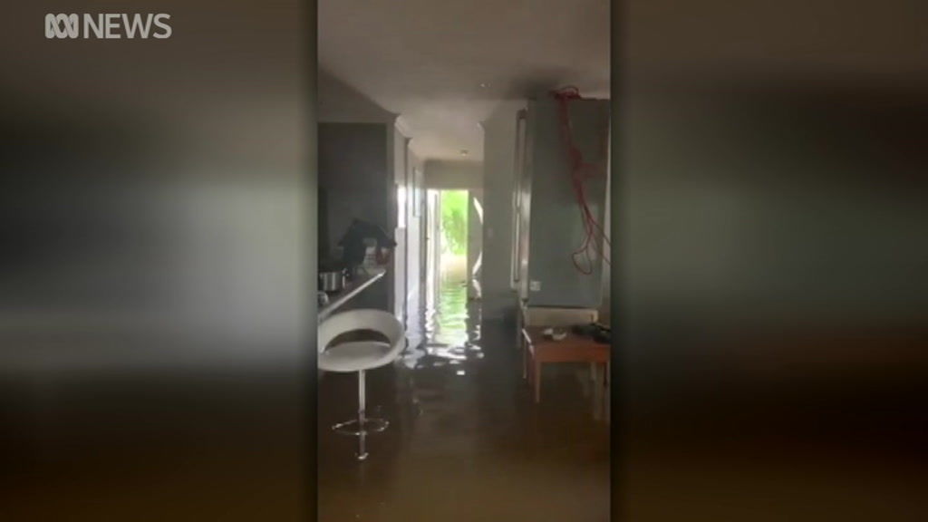 Idalia - 4811 - Location - ABC News