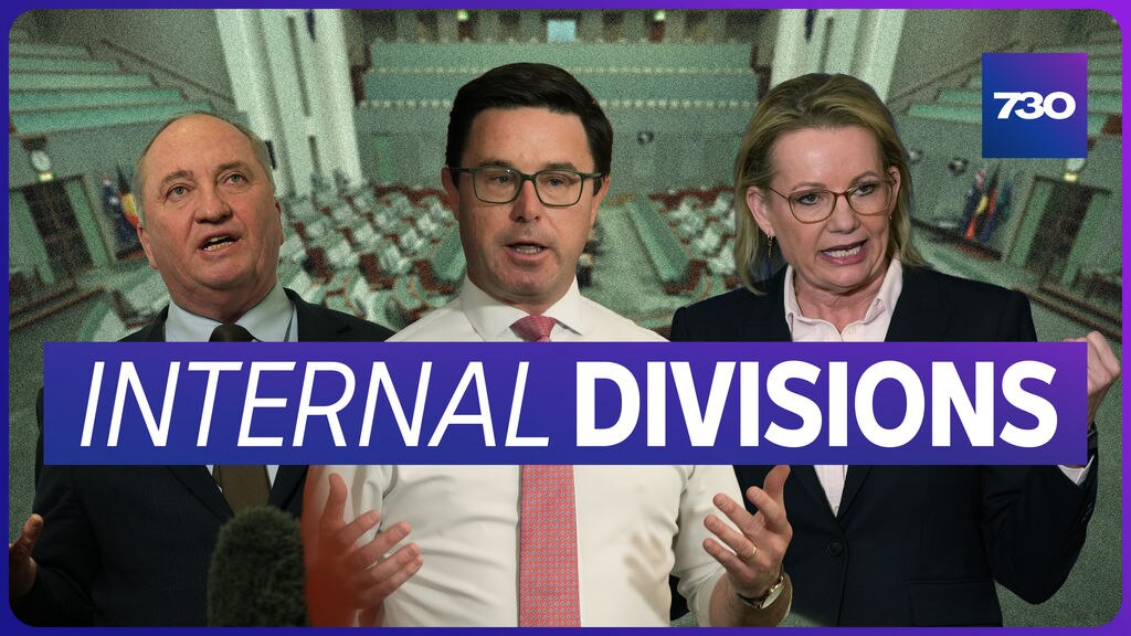 Infighting erupts in the National Party - ABC News