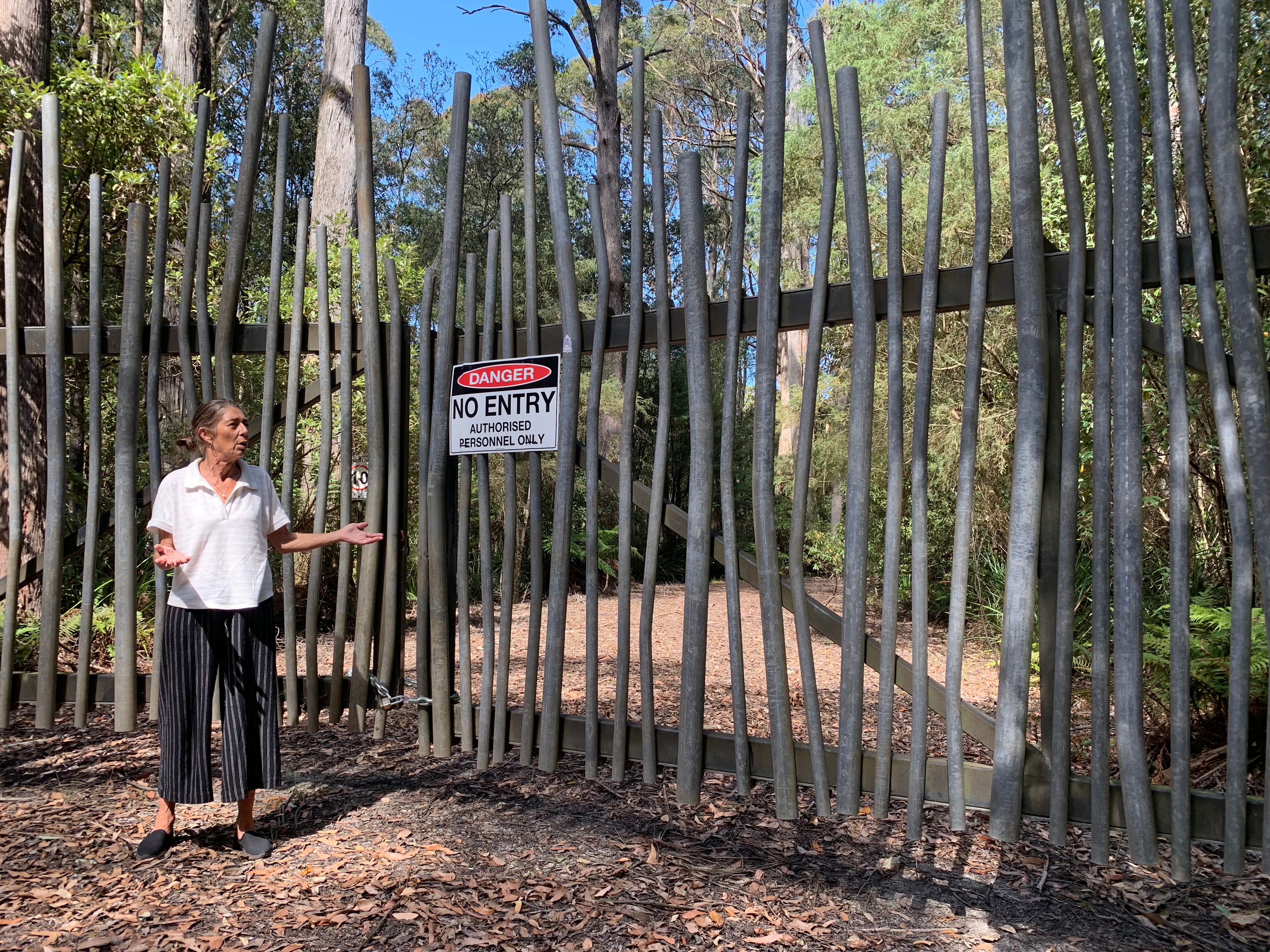 Dismal Swamp artworks removed and damaged as Tasmanian region waits for ...