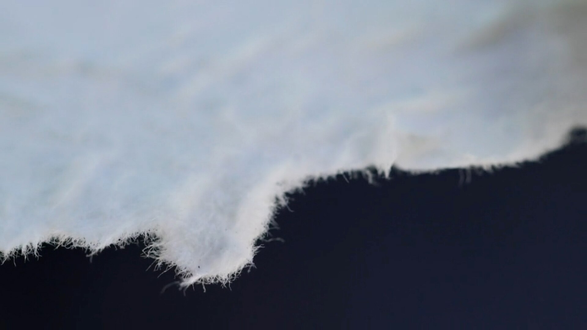 Dr Karl's How Things Work: Paper fibre - ABC Education