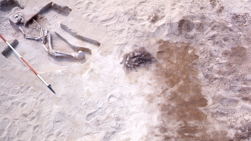 Mungo Man: What to do next with Australia's oldest human remains? - ABC ...