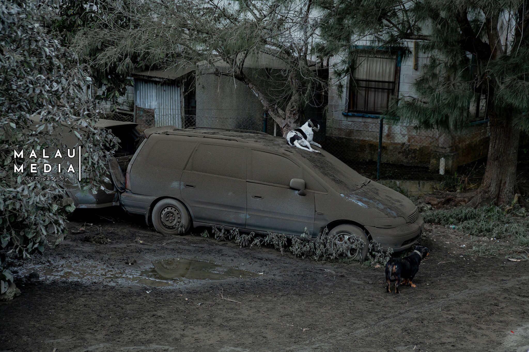 The aftermath of Tonga's volcanic eruption and tsunami captured by ...
