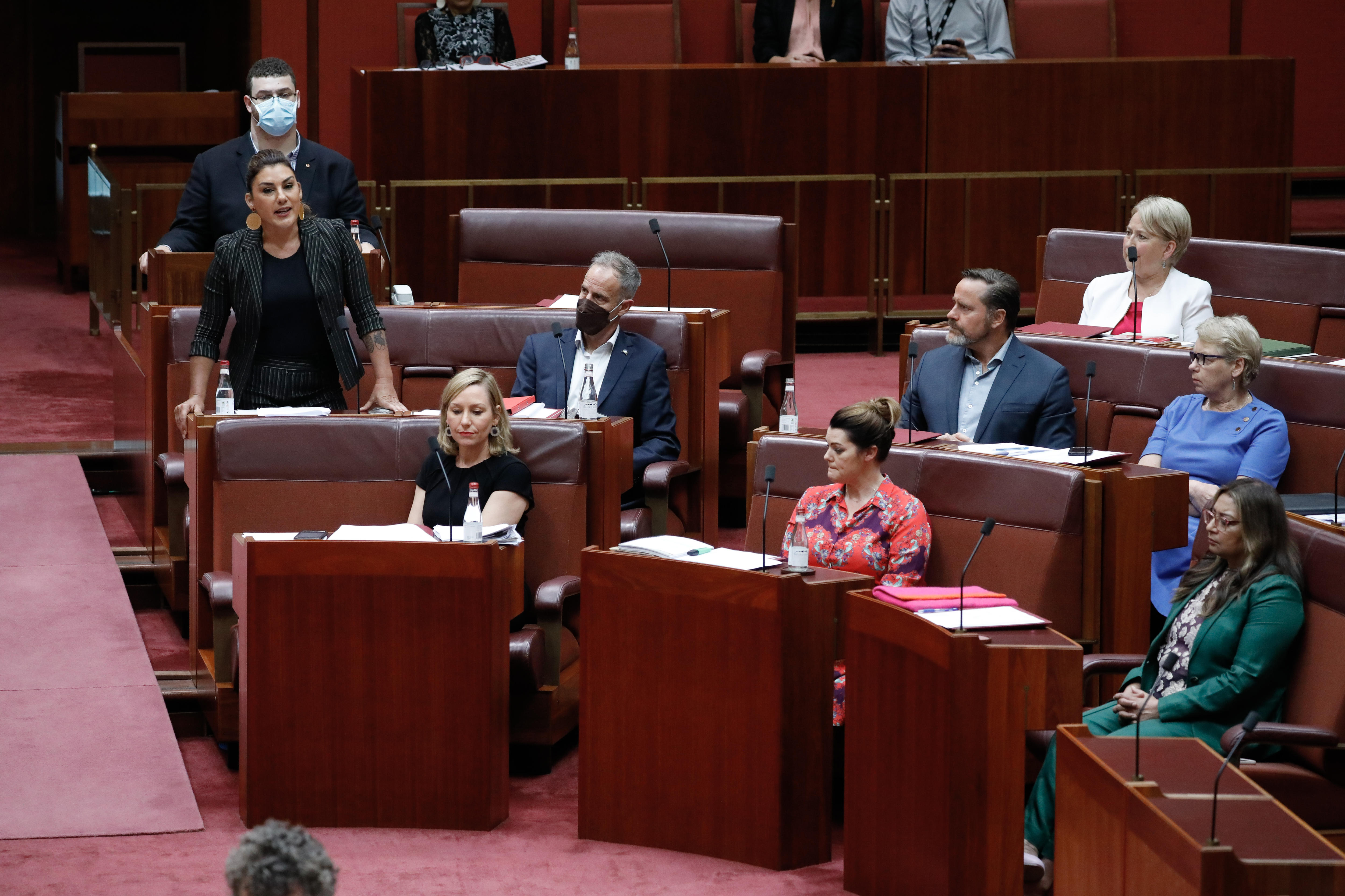 Greens head to a retreat to thrash out Voice to Parliament stance - ABC ...