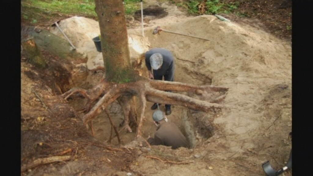 Nazi-era hoard of gold coins found by amateur archaeologist in northern ...