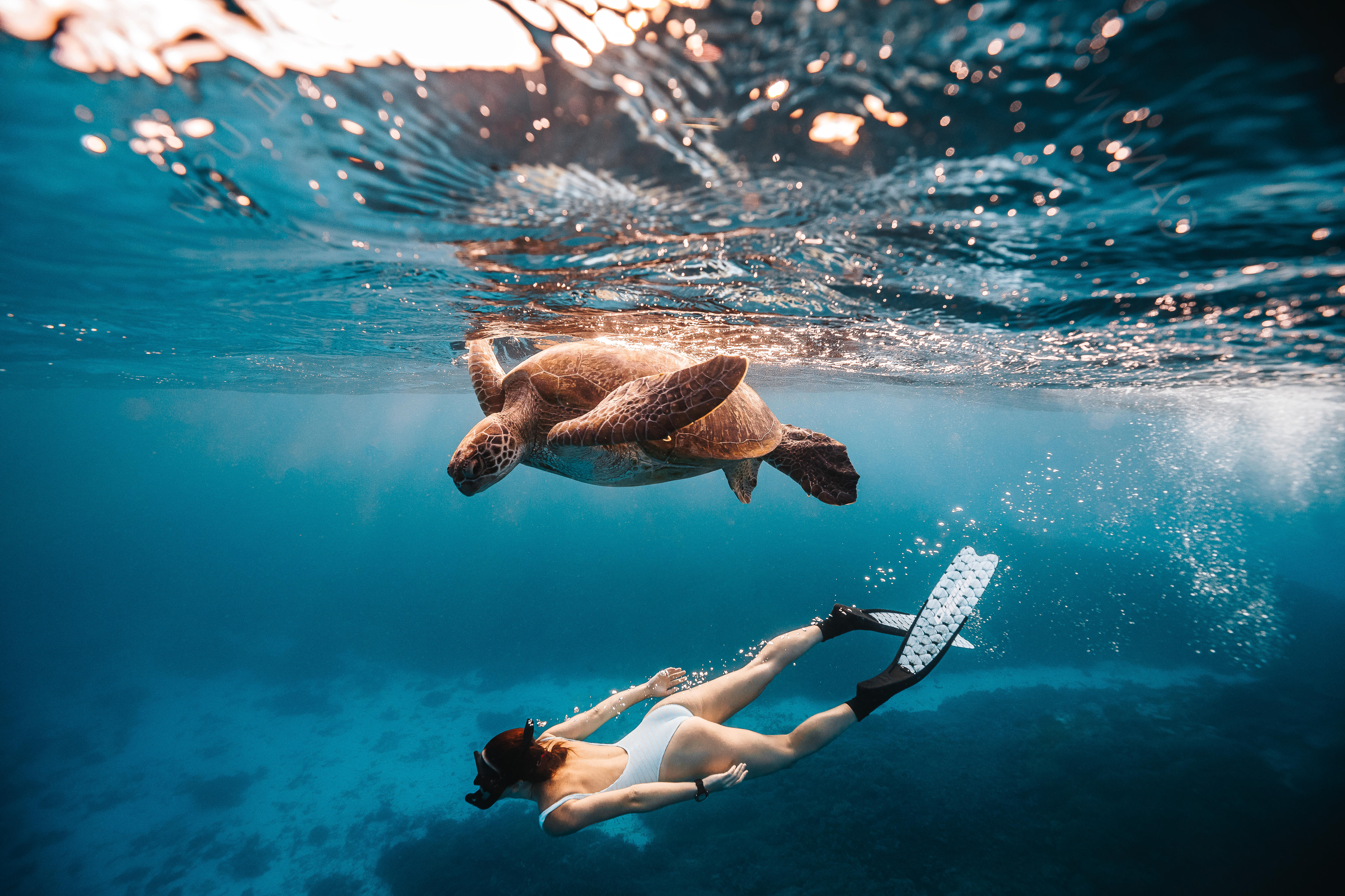 Queensland government unveils long-term tourism strategy Destination ...