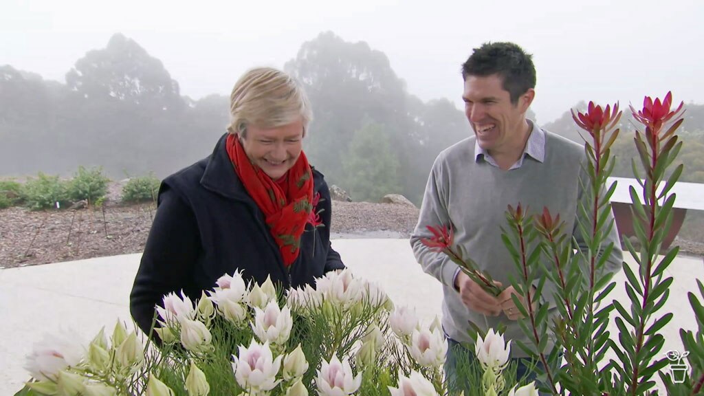 My Garden Path | Jane Edmanson - Gardening Australia