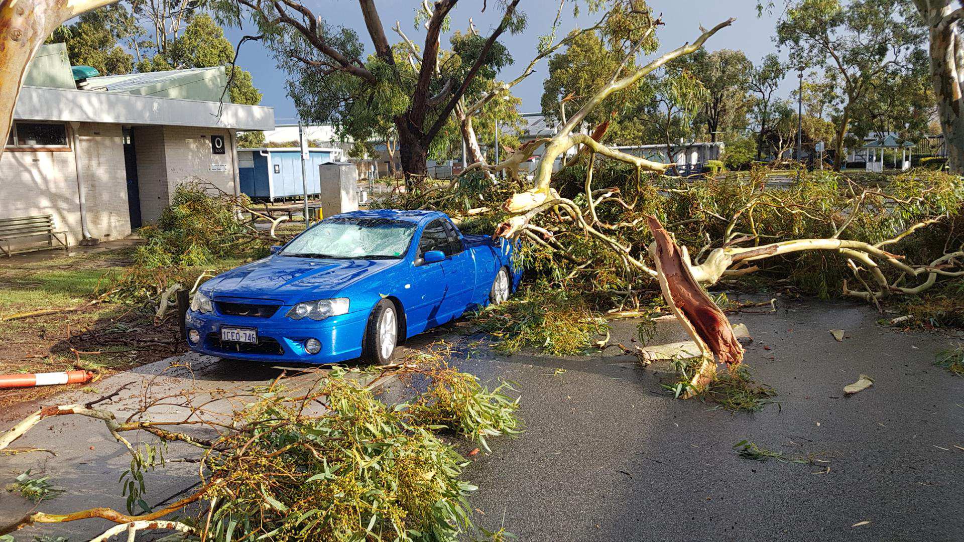 WA storm prompts big clean-up as Perth dashcam video shows large tree ...
