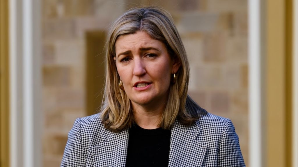 Health Minister Shannon says the Queensland government wants to ...