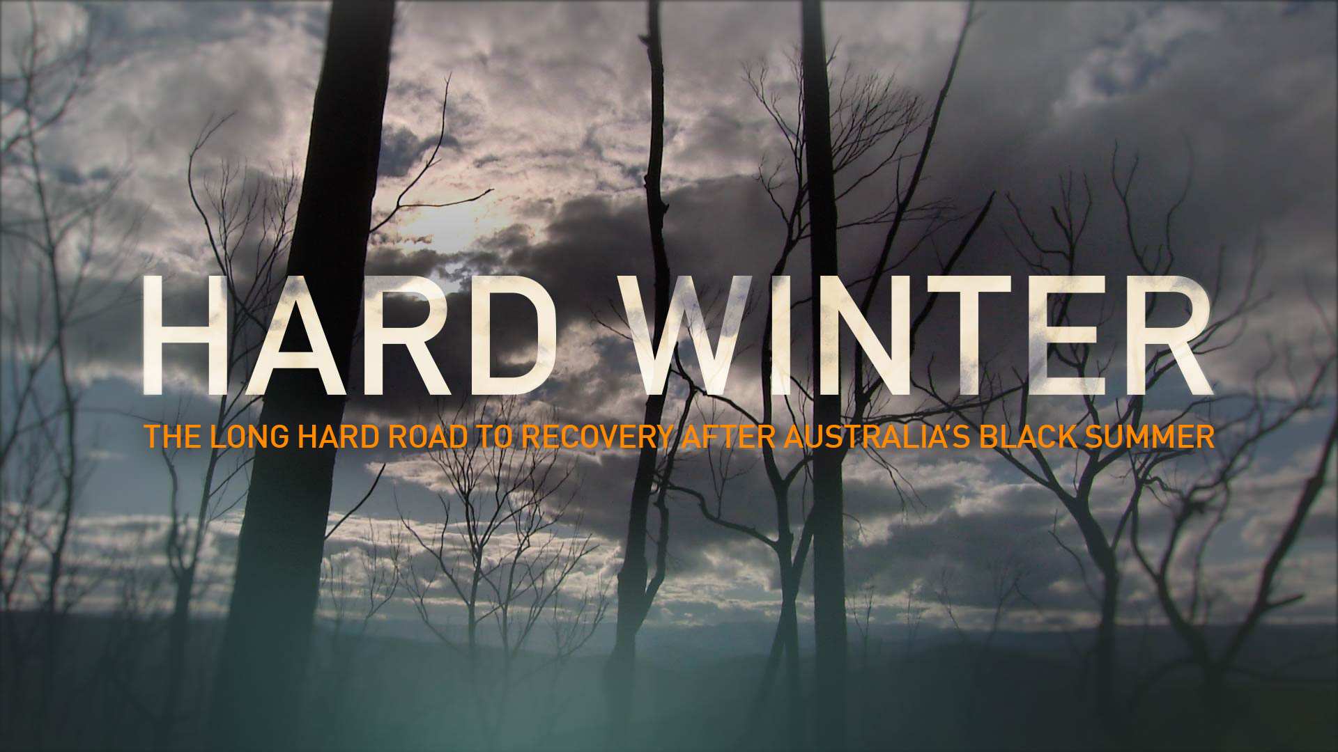 Hard Winter - ABC Content Sales