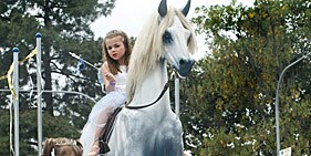 Pageant history up for sale - ABC News