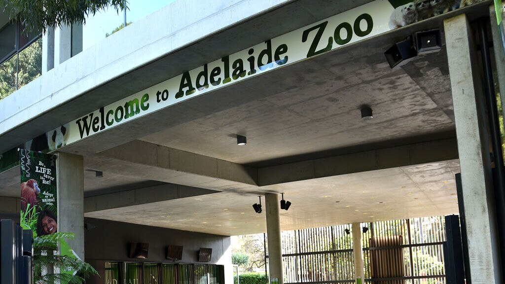 A walk-through of the Adelaide Zoo during 2018 - ABC News