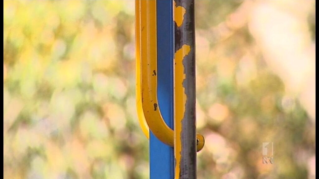 Toxic playground threat causes concern - ABC News