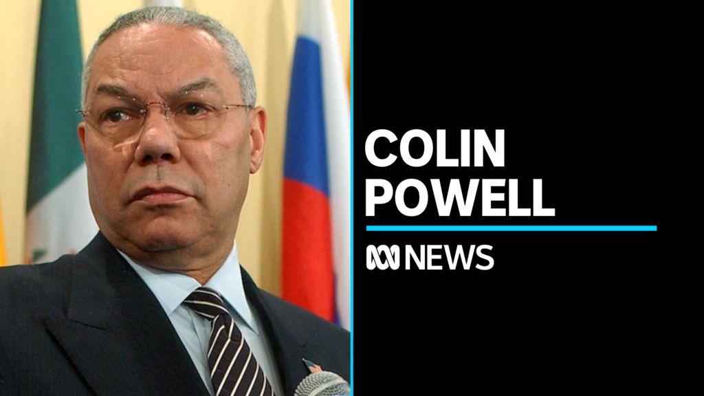 Dr Matthew Rimmer discusses the TPP - ABC News