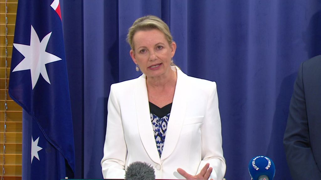 ‘No blank cheque from the constitution’: Sussan Ley explains Liberal ...