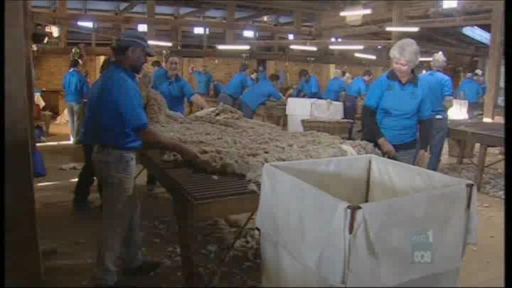 Shear Magic - ABC News