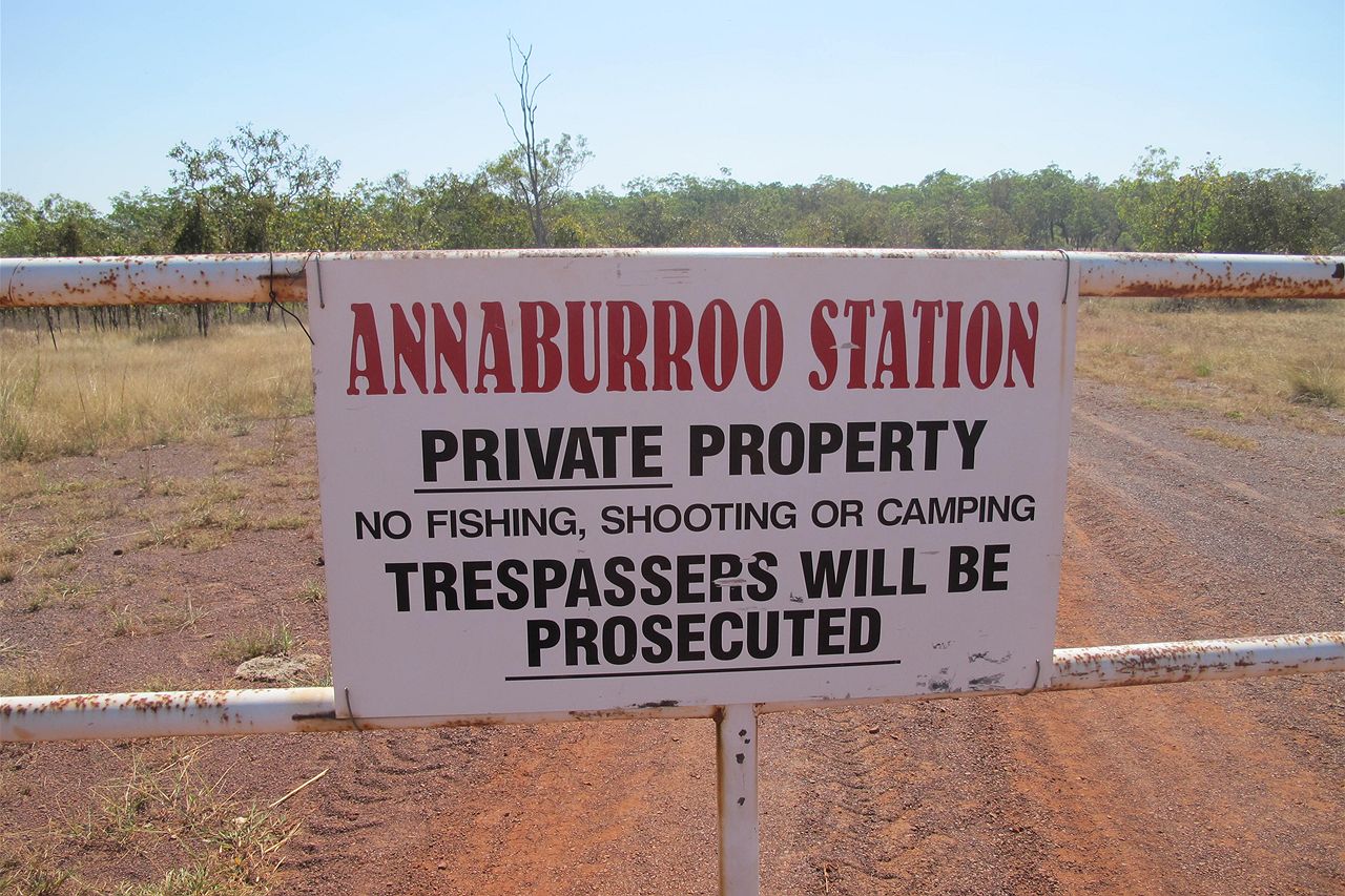 Top End cattle station back from brink - ABC News