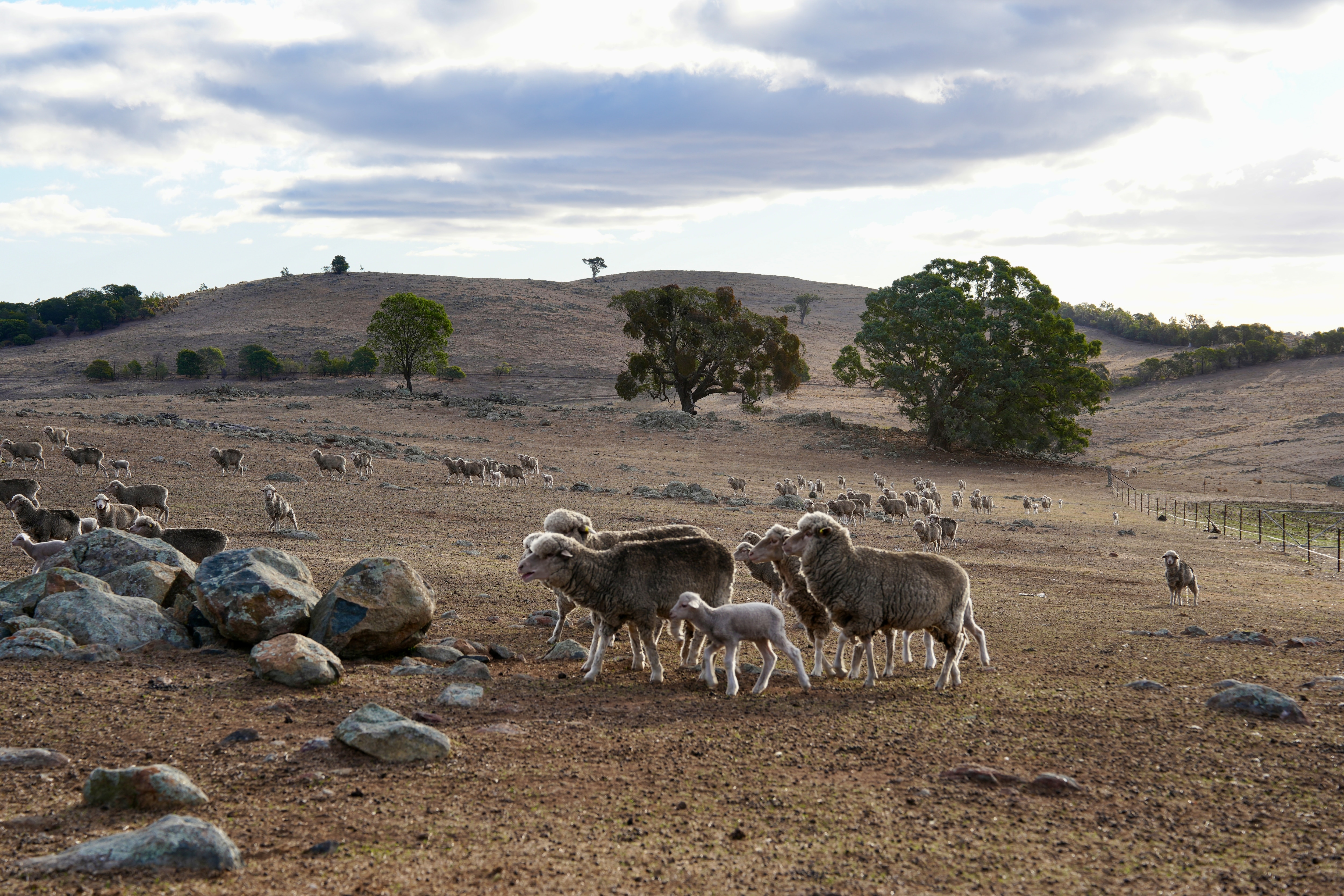 NSW Government announce increased relief in third year of drought - ABC ...