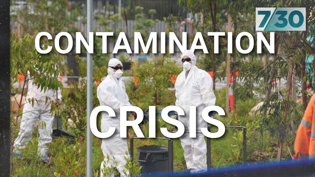 Asbestos-contaminated mulch found in numerous sites around Sydney - ABC ...