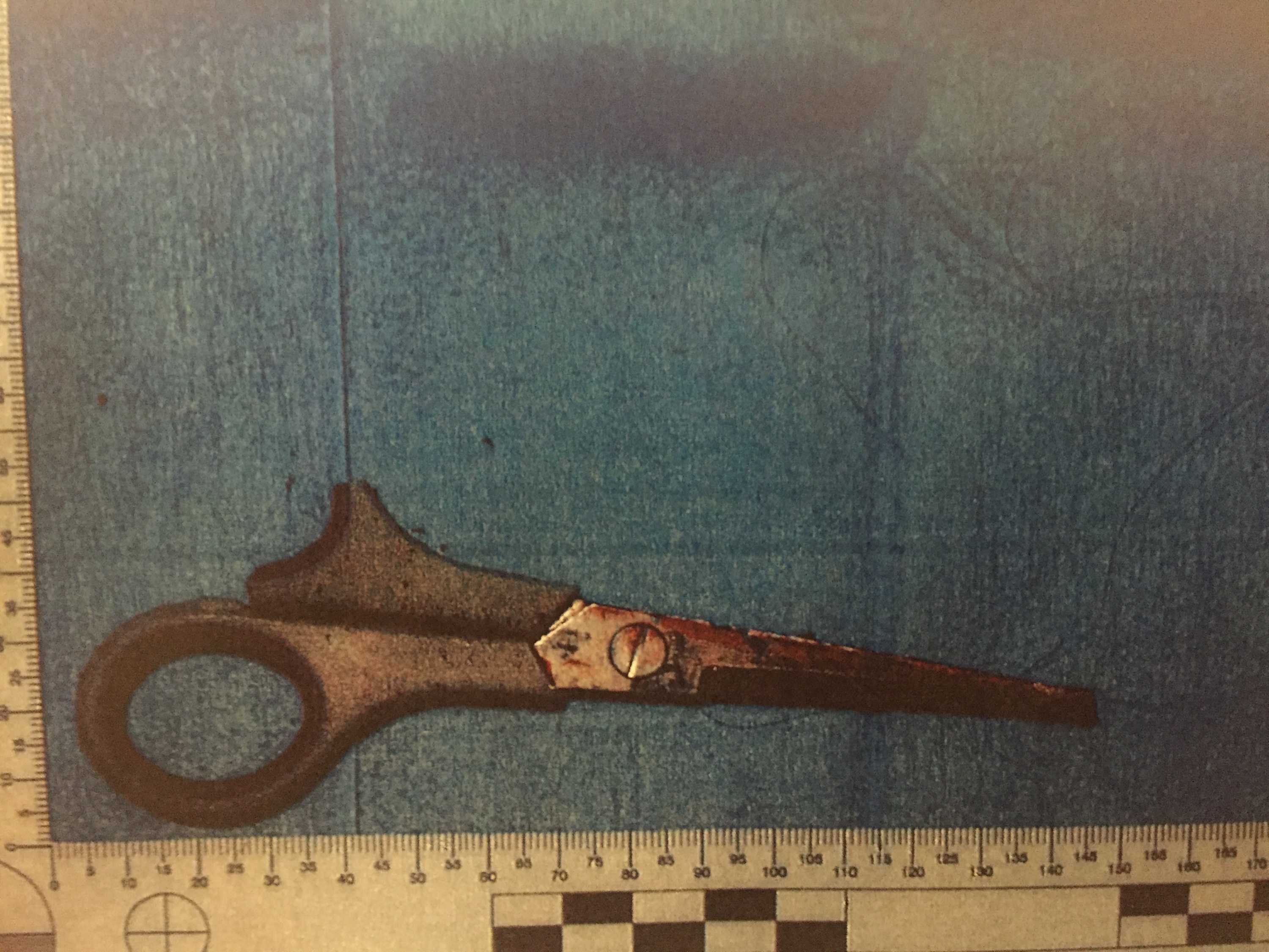 Leila Alavi murder: Man who stabbed hairdresser wife to death with ...