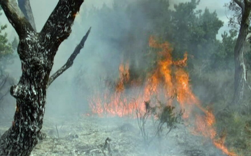 Loch Sport fire burns through 700ha - ABC News