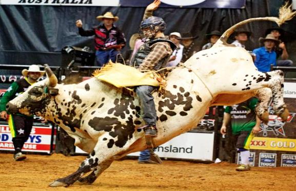 World's best bull riders converge on Tamworth - ABC News