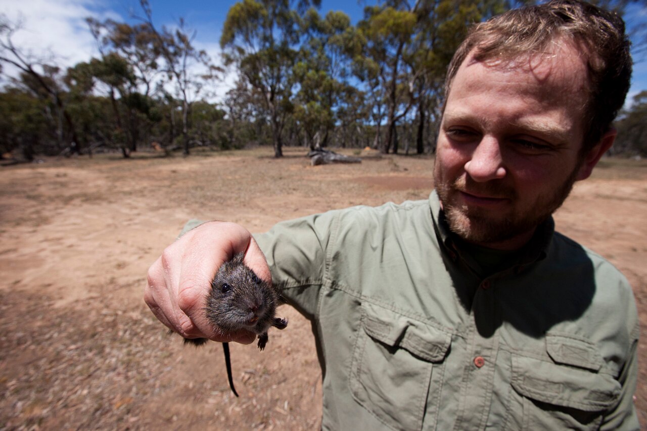 Bush blitz reveals state of critically endangered wildlife - ABC listen