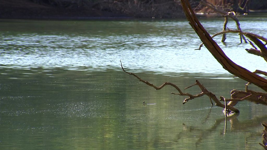 Fitzroy Water Plan: Proposal to open water allocations - ABC News
