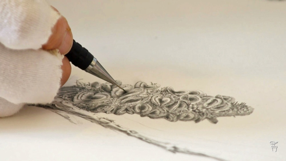 Delicate Detail - Gardening Australia