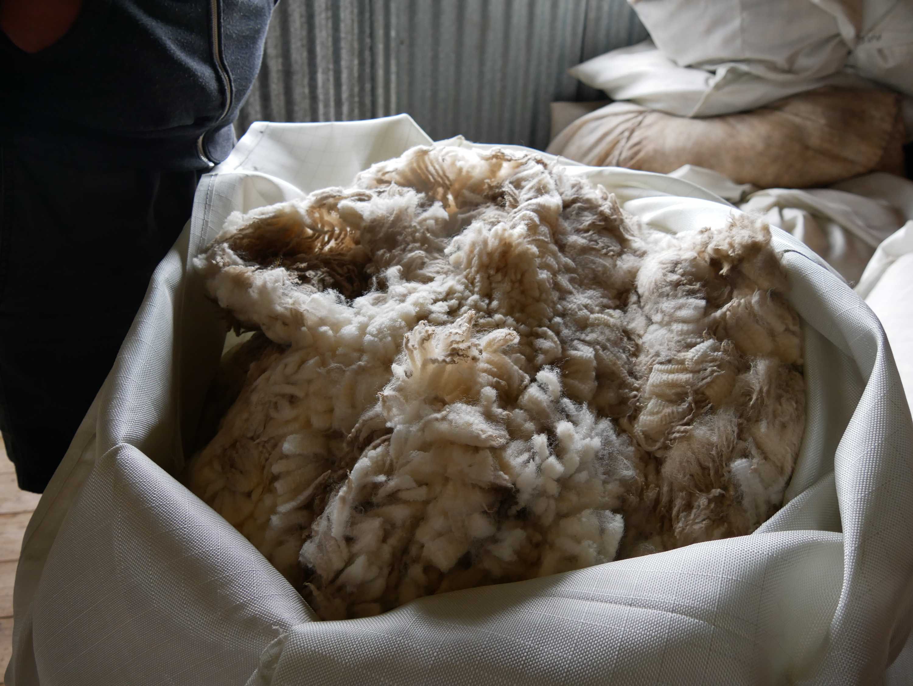 China's fake-fur coat craze driving up crossbred wool prices for ...