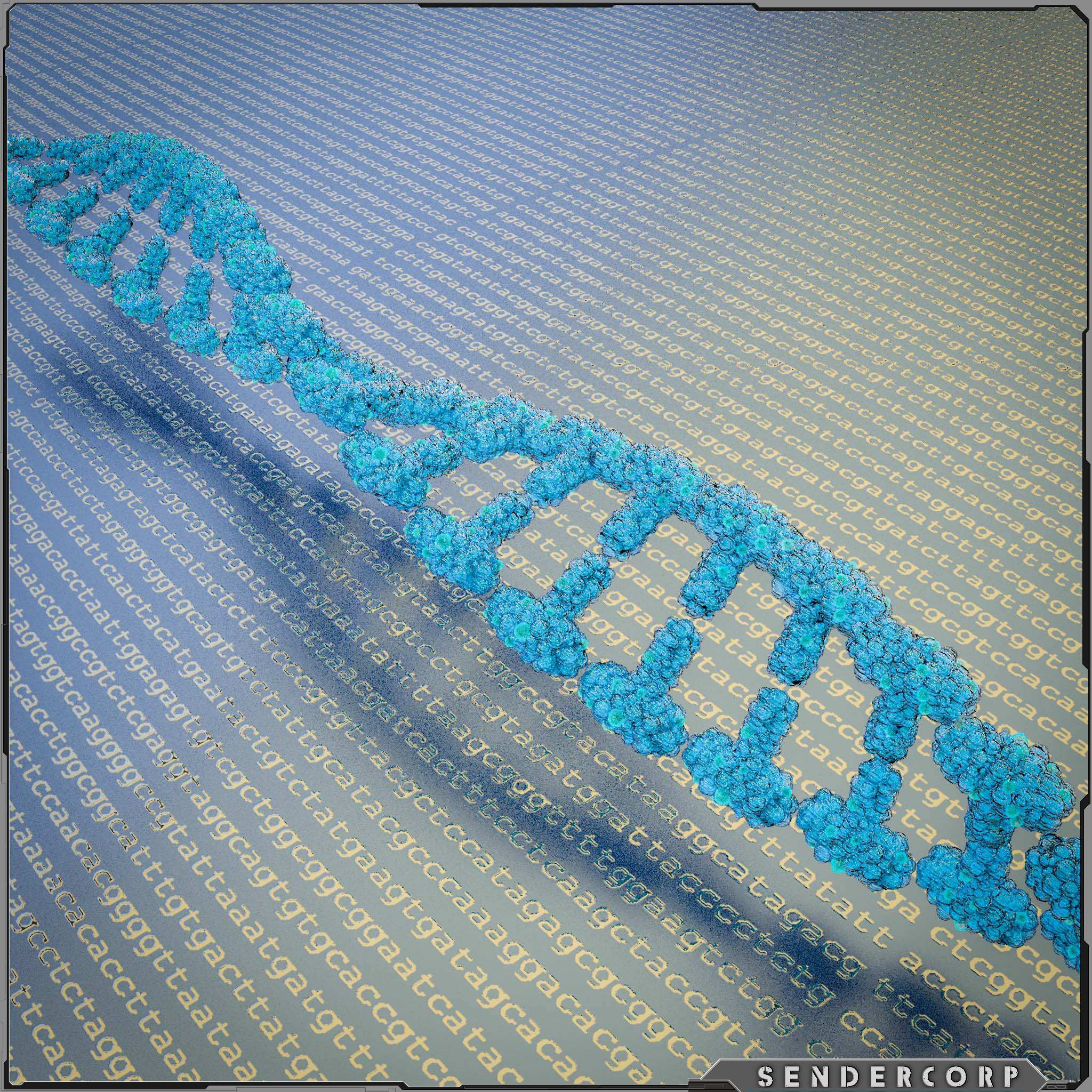 Explainer: Who were the first Australians? - ABC News