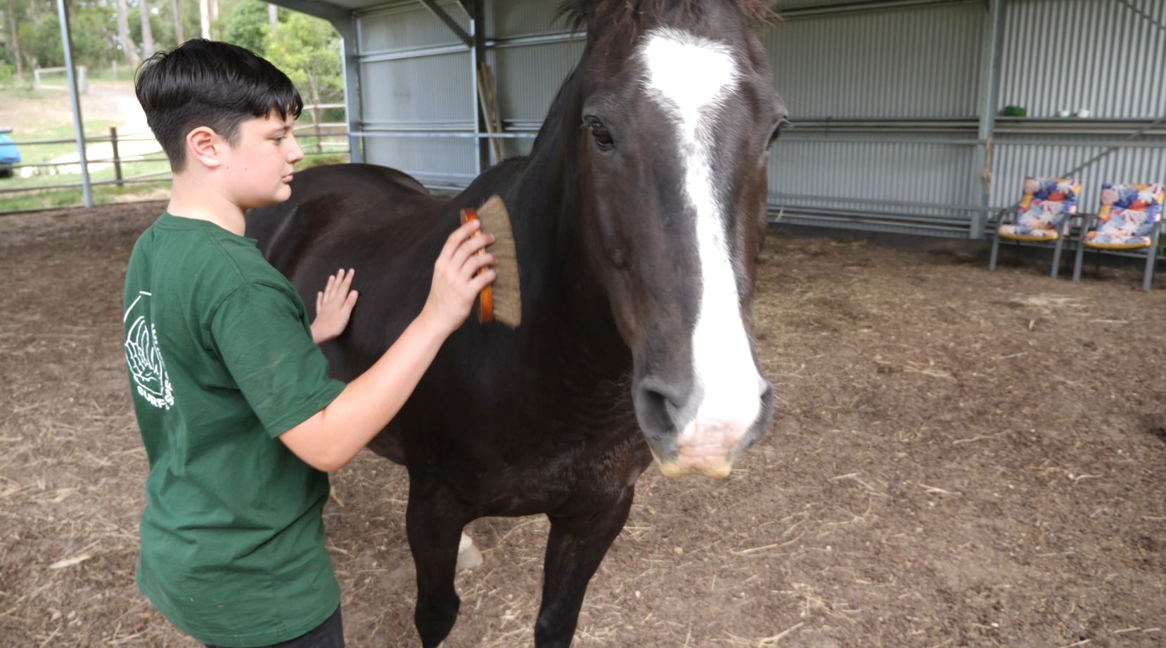 NDIS funding for equine therapy returned after mother wins campaign for ...