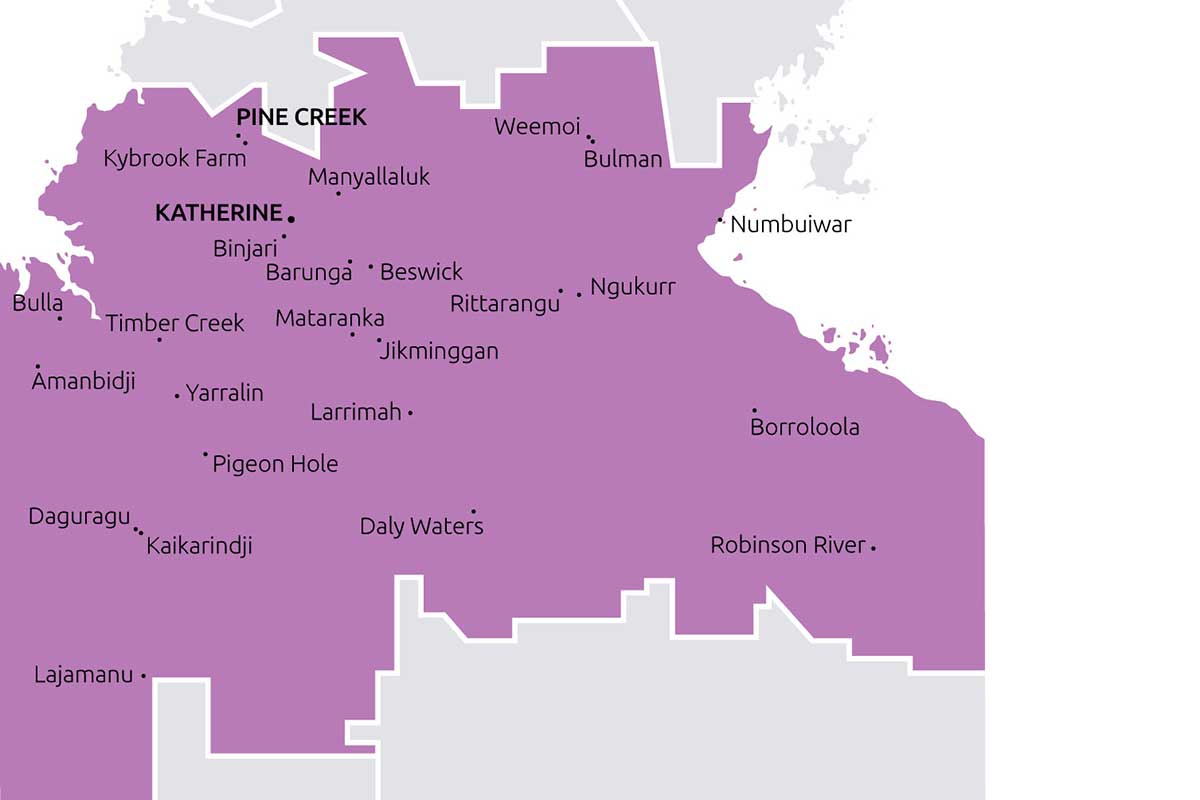 Infant dies from Murray Valley encephalitis in Northern Territory's Big ...