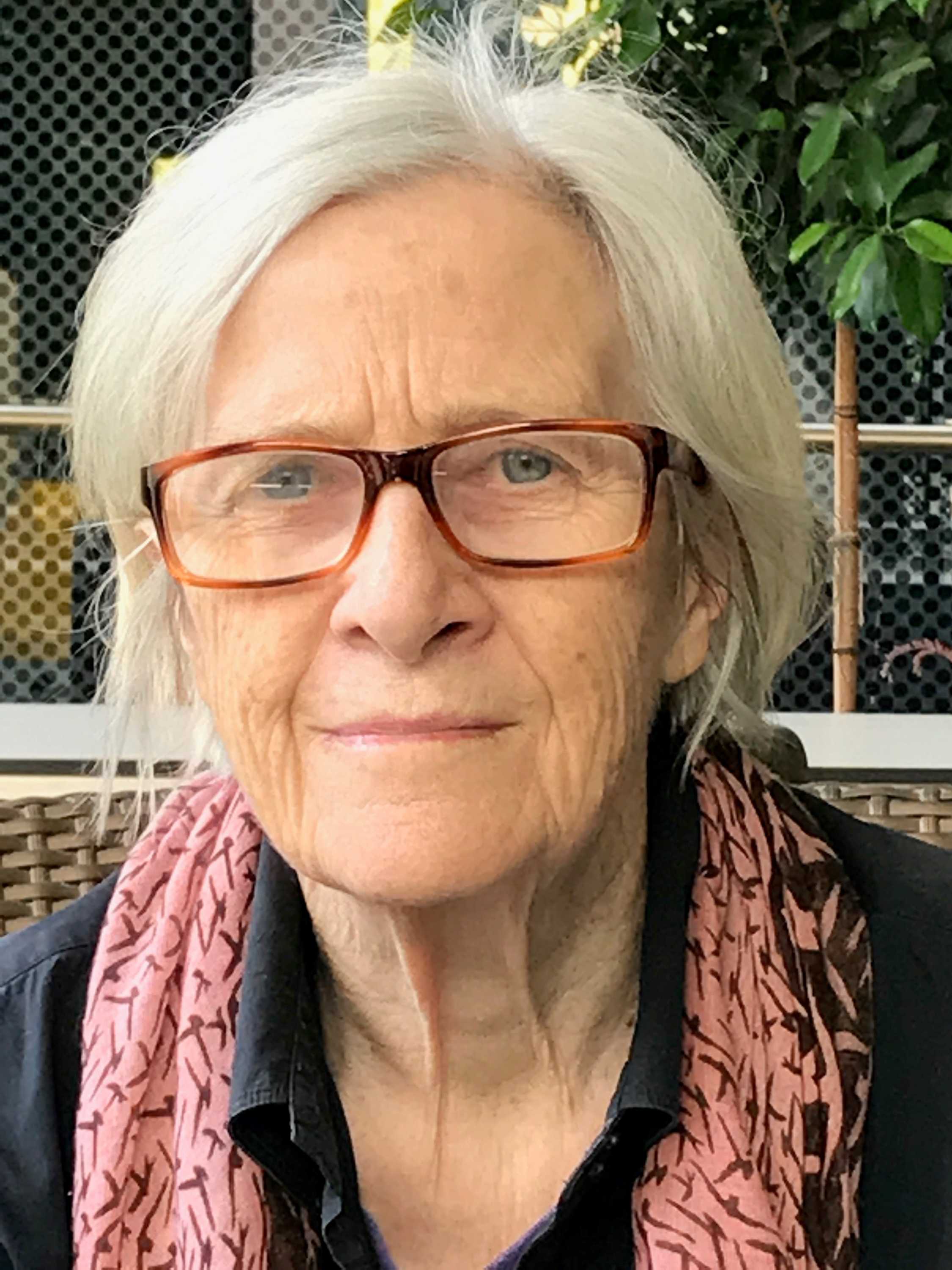 Former foreign correspondent Jill Jolliffe's latest battle - ABC listen