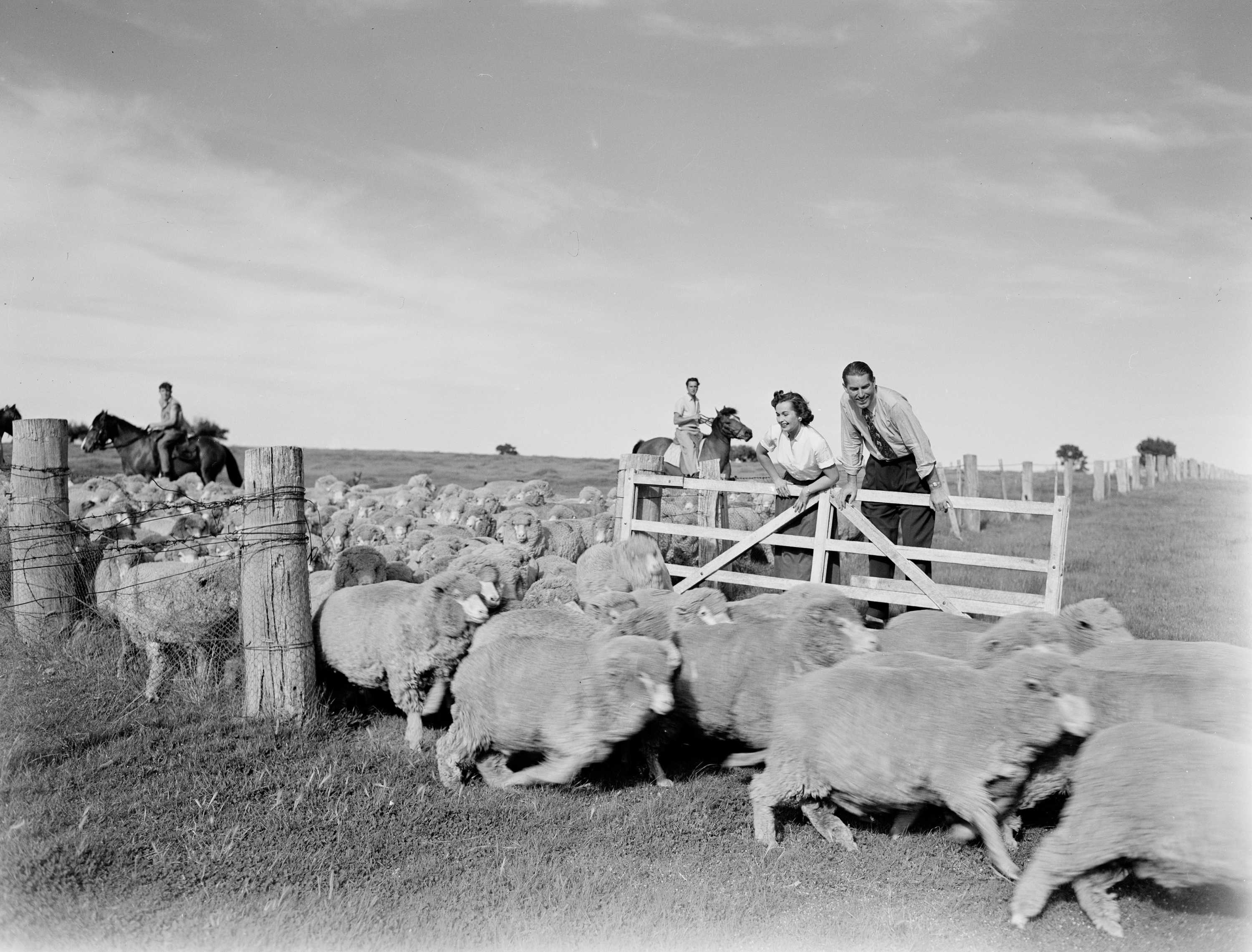 Seven decades of farming: Australian agricultural policy, passion and ...