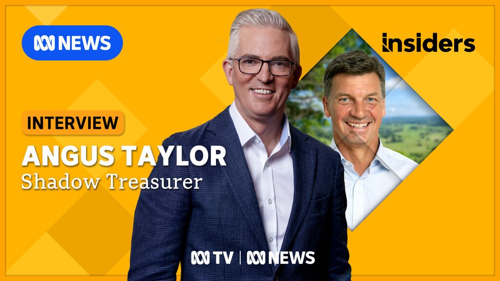 Interview with Angus Taylor - ABC News