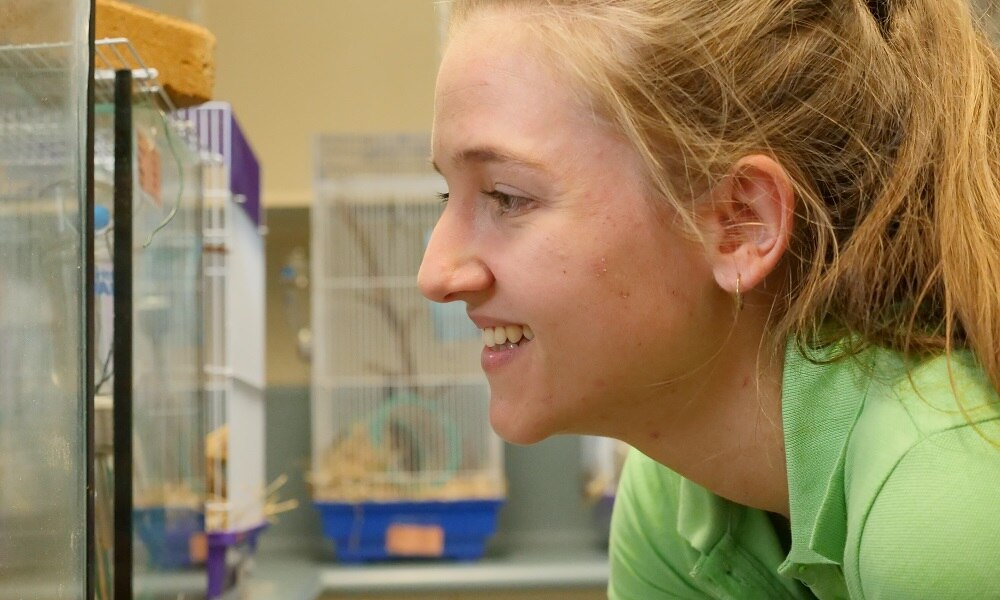 Native rats put through NASA-style tests as scientists seek climate ...