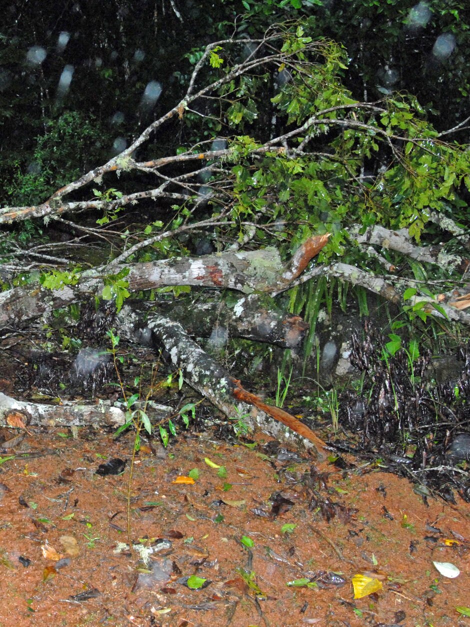 Weakening Tasha offers brief respite - ABC News