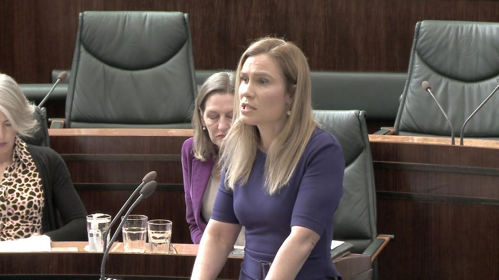Kristie Johnston speaks in Tasmania's Parliament - ABC News