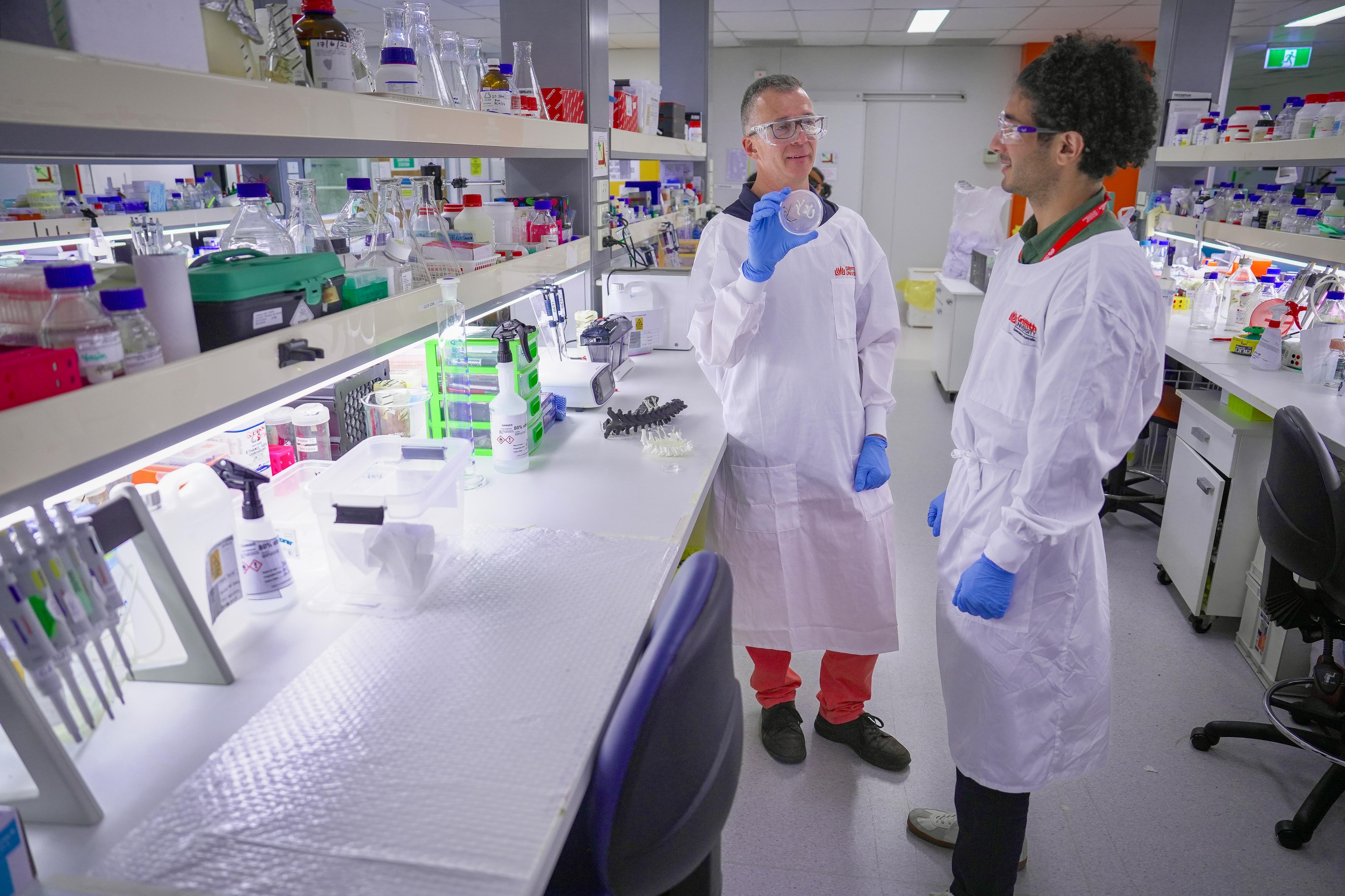 Much-anticipated human trial aiming to repair spinal cord damage about ...