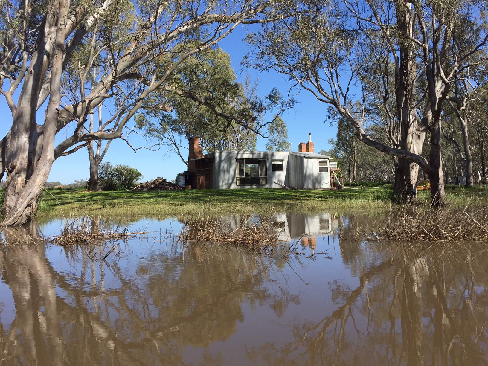 Lower Goulburn River floodwaters bring environment to life in wetlands ...