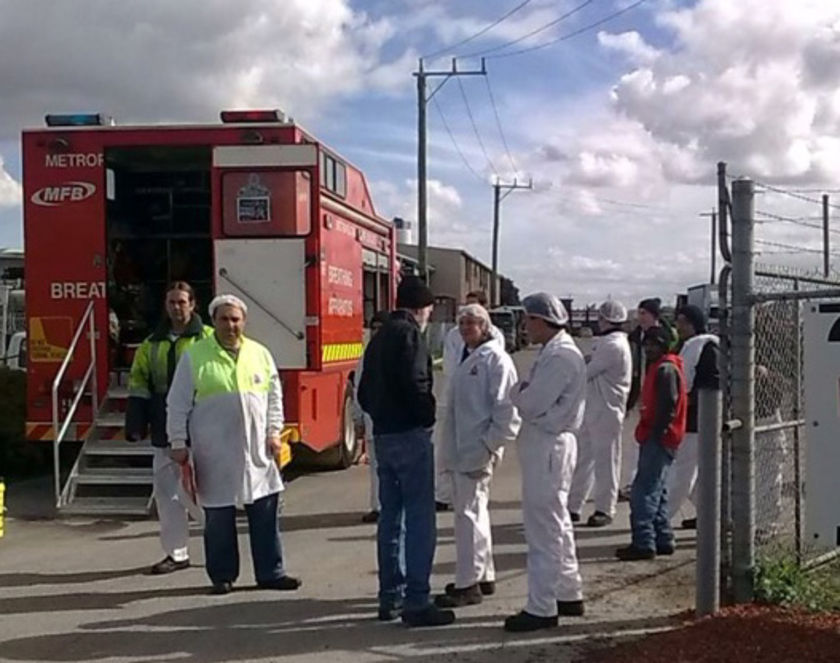 200 factory workers evacuated - ABC News